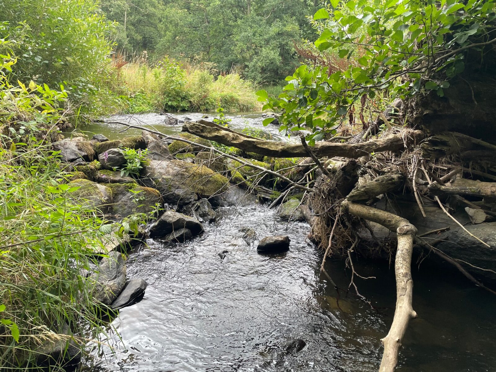 Grant Award from Stichting European Open Rivers Programme - The Deveron ...