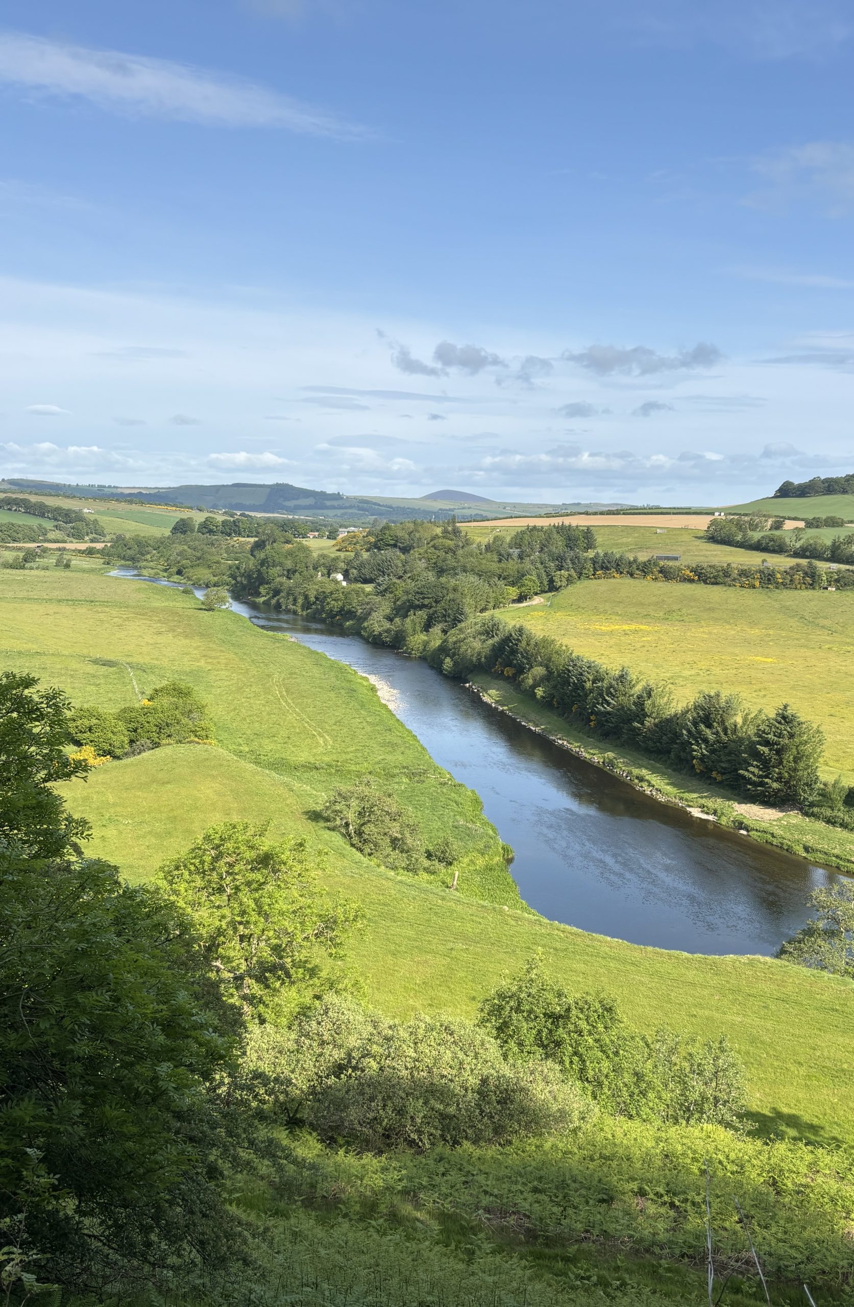 RDevDSFB Statement On Current River Conditions and Angling Guidance ...