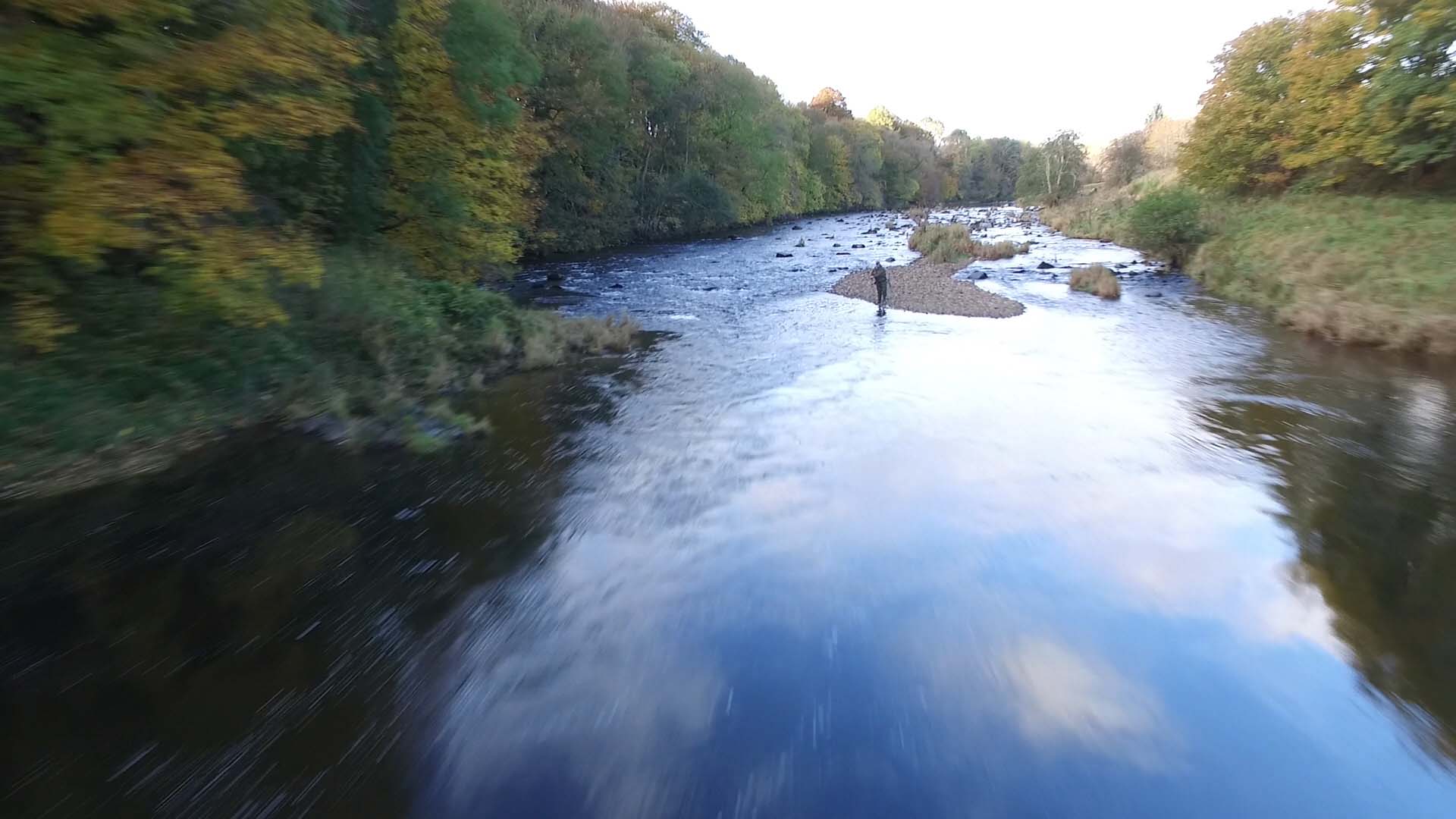Bags of Help Success - Giant Hogweed Control - The Deveron, Bogie and ...